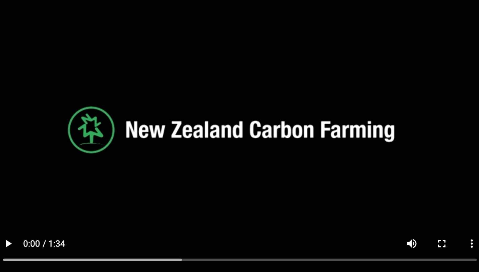 New Zealand Sport Collective